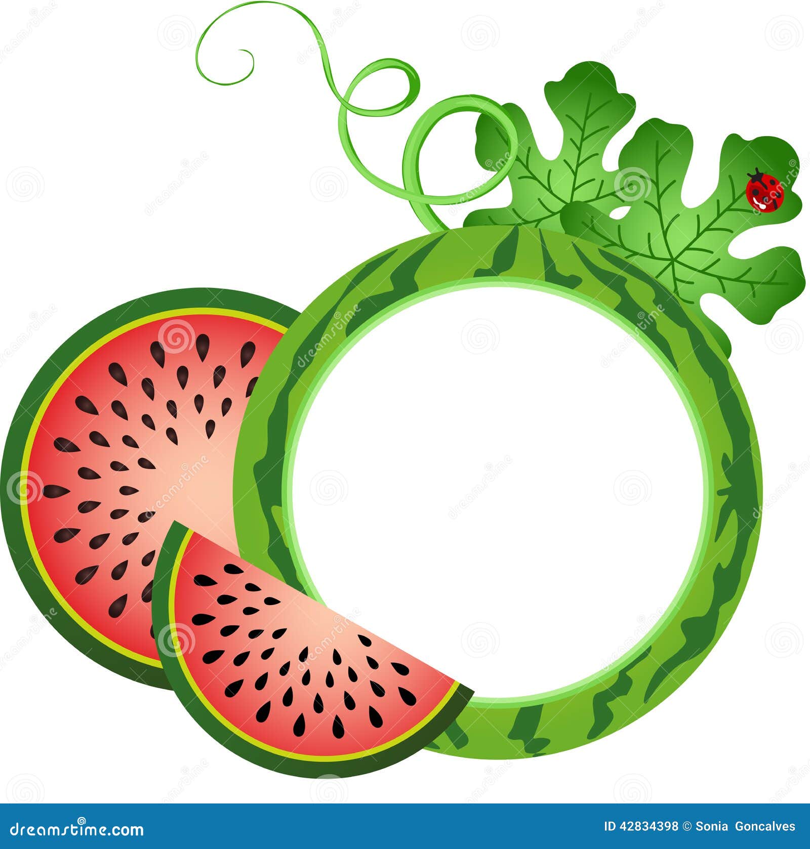 Watermelon Photo Frame stock vector. Illustration of snack - 42834398