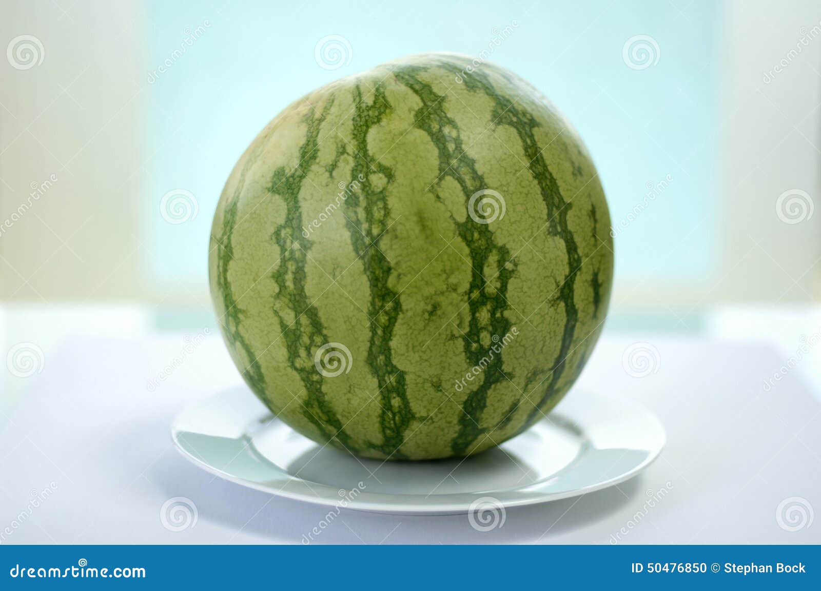 Watermelon on plate stock photo. Image of life, people - 50476850