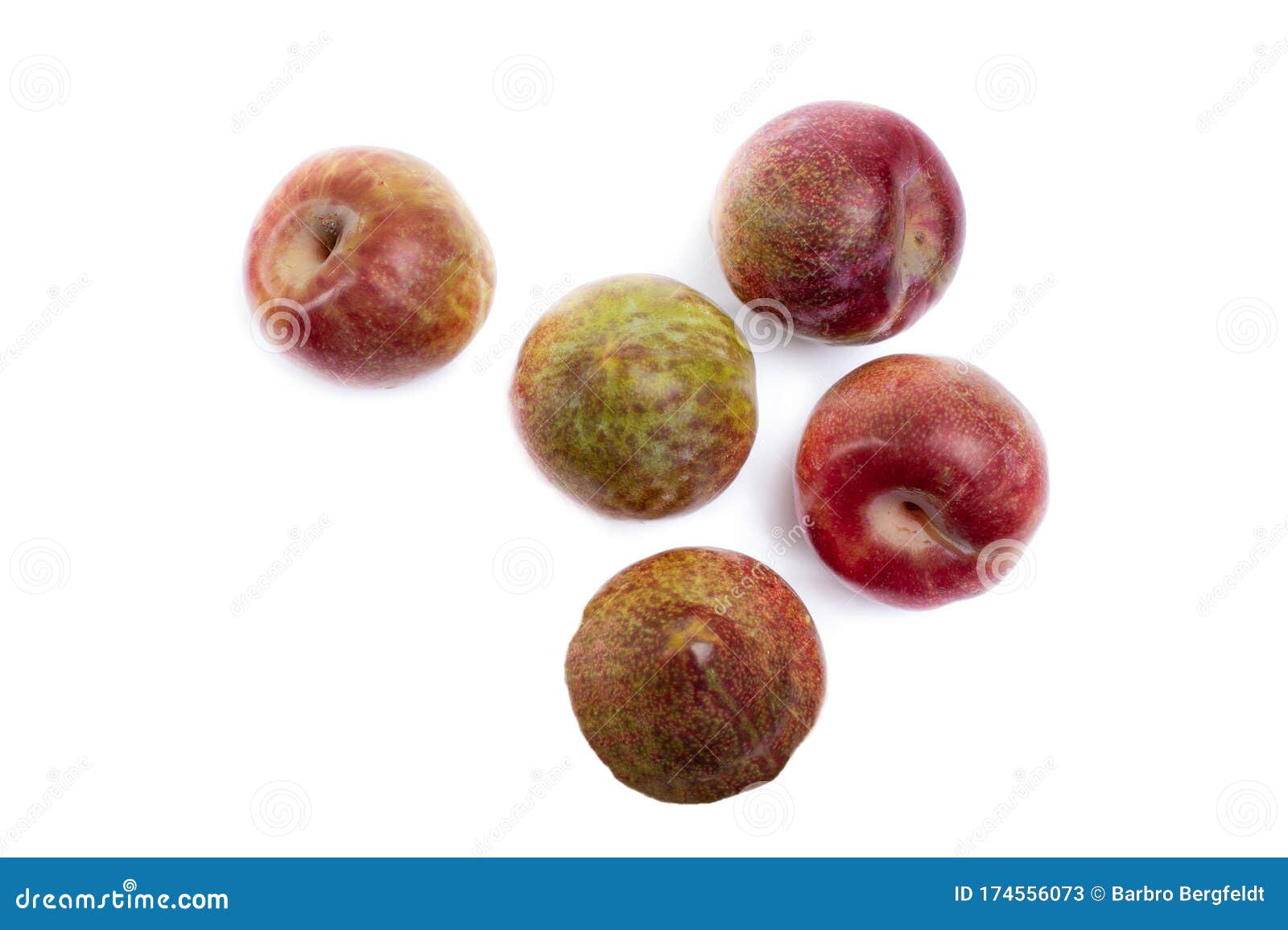 Fresh Watermelon Plum stock image. Image of plum, plums - 174556073