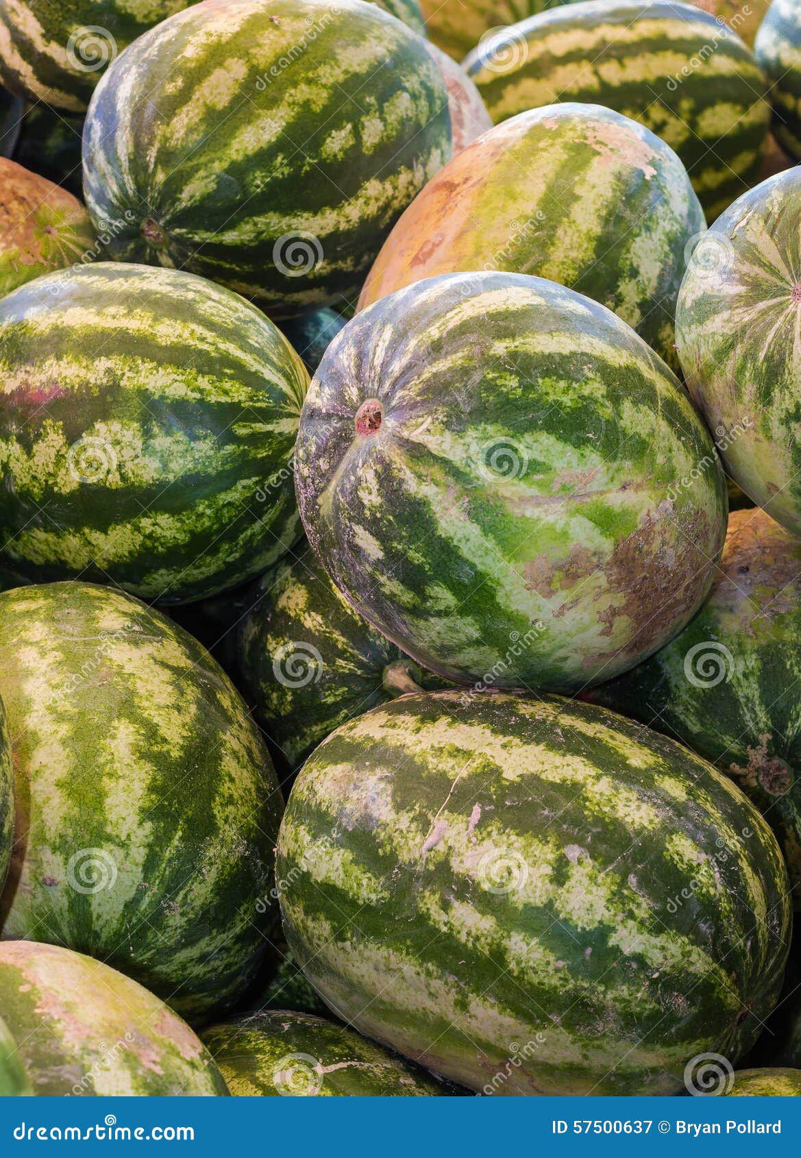 Watermelon stock image. Image of fruit, watermellon, fresh - 57500637