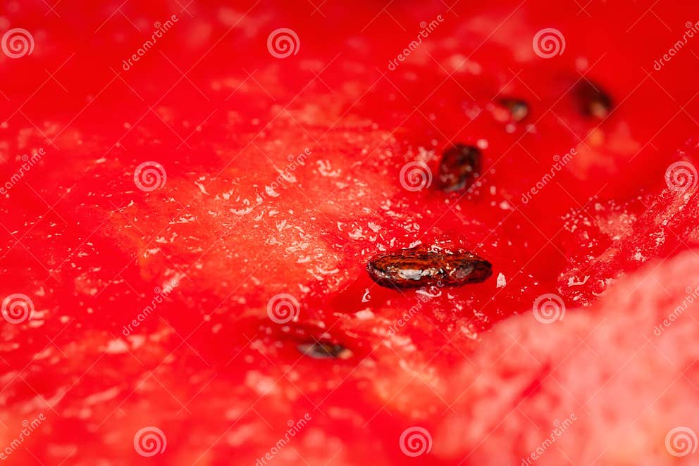 Watermelon Pulp. Texture of the Pulp of a Ripe Watermelon Close-up ...
