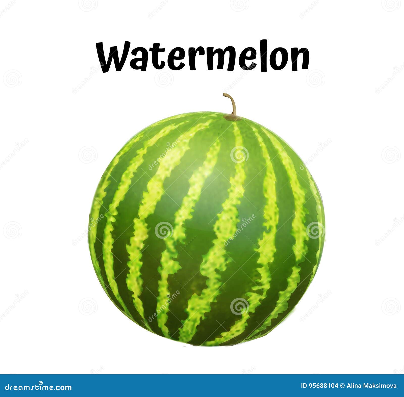 Watermelon Realistic Texture Seamless Pattern. Green Stripes Watermelon ...