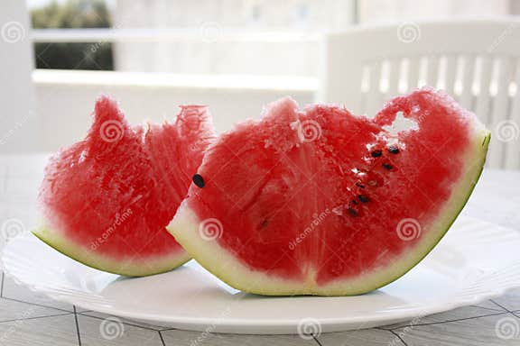 Watermelon stock photo. Image of seed, summer, plant - 99214640