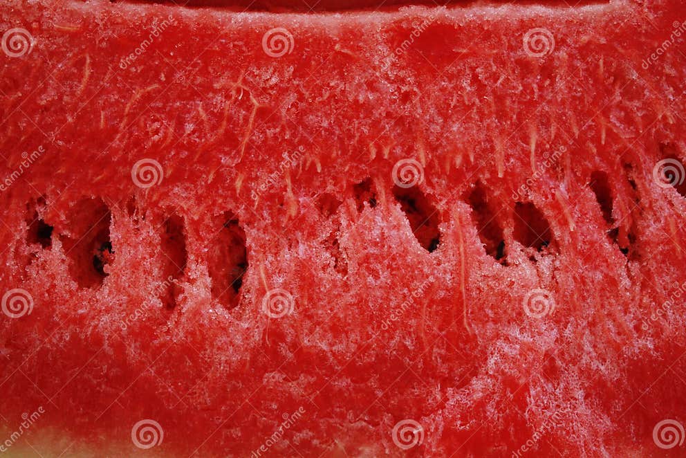 Watermelon stock image. Image of seed, fresh, closeup - 99214757