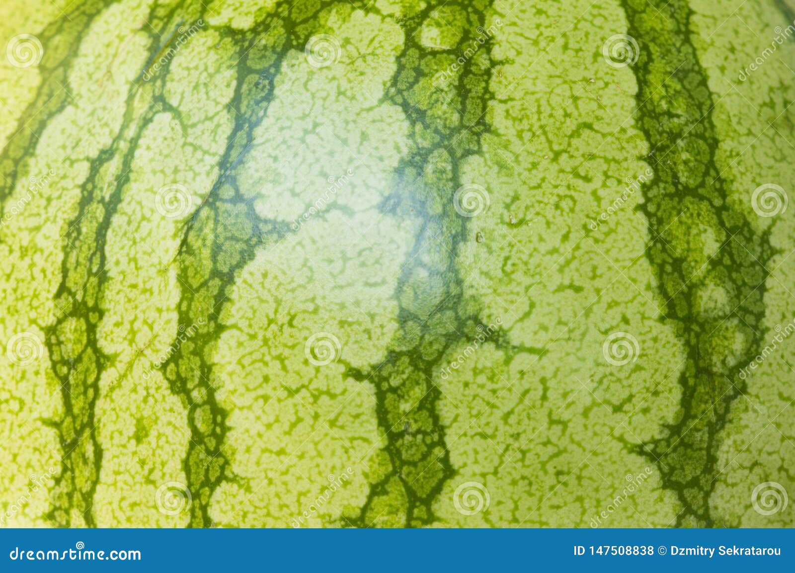 Watermelon Rind Texture Background Stock Illustration - Illustration of ...