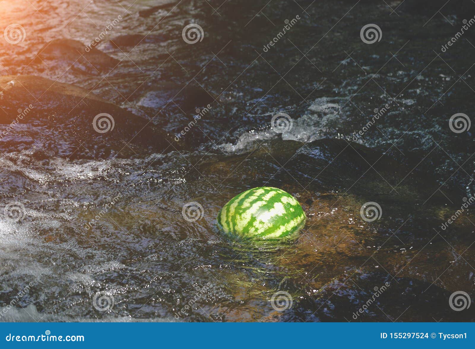 Watermelon in a river stock photo. Image of cooling - 155297524