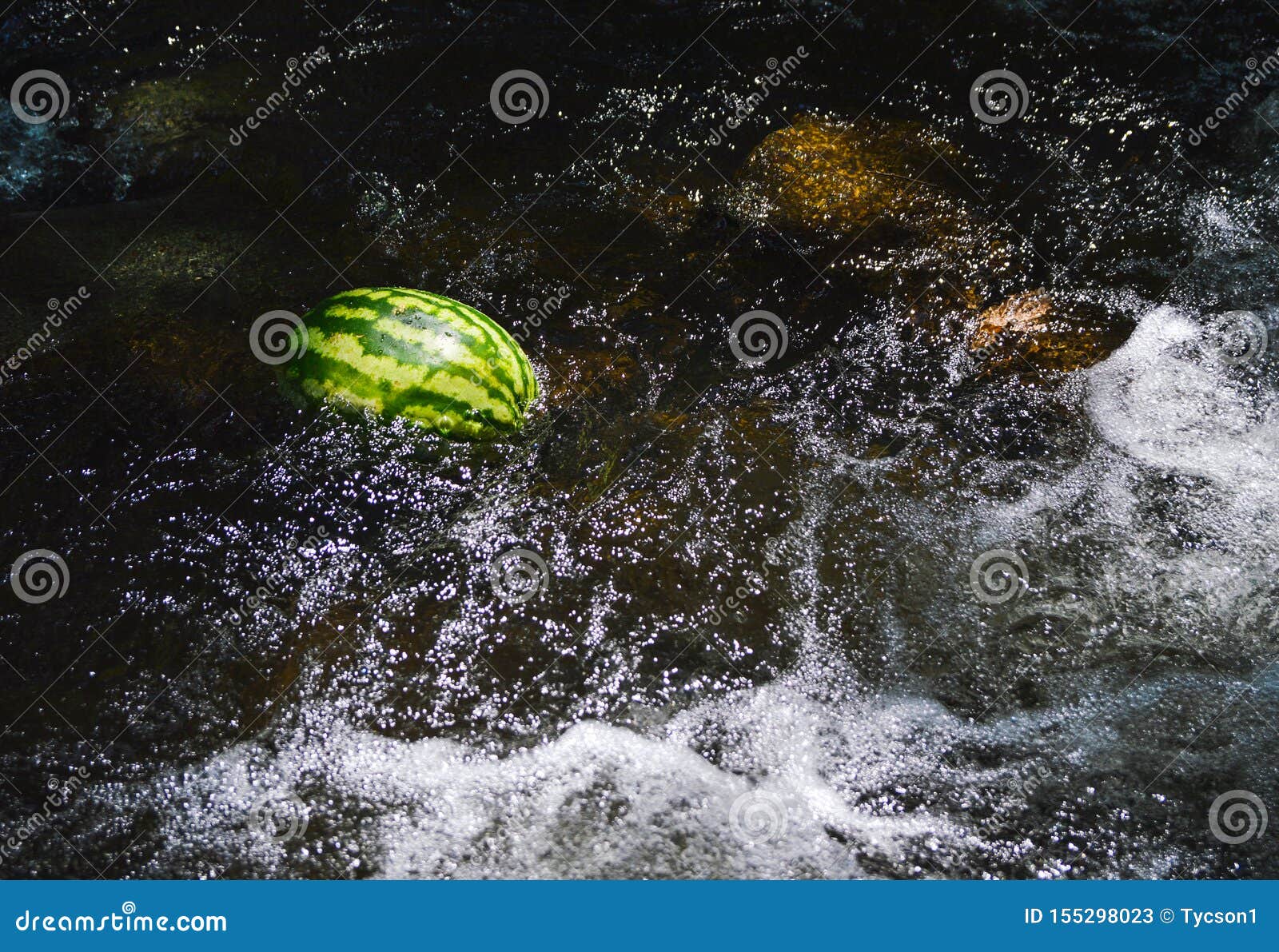 Watermelon in a river stock image. Image of green, fresh - 155298023