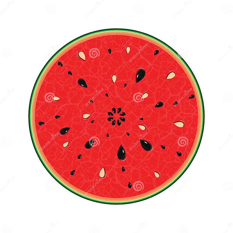 Watermelon Round Slice Vector Icon Vector Stock Vector - Illustration ...