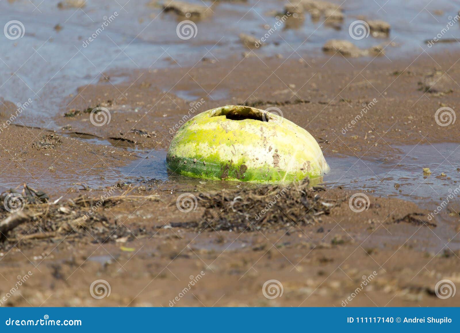 Watermelon in the Sand on the Lake Stock Photo - Image of juicy ...