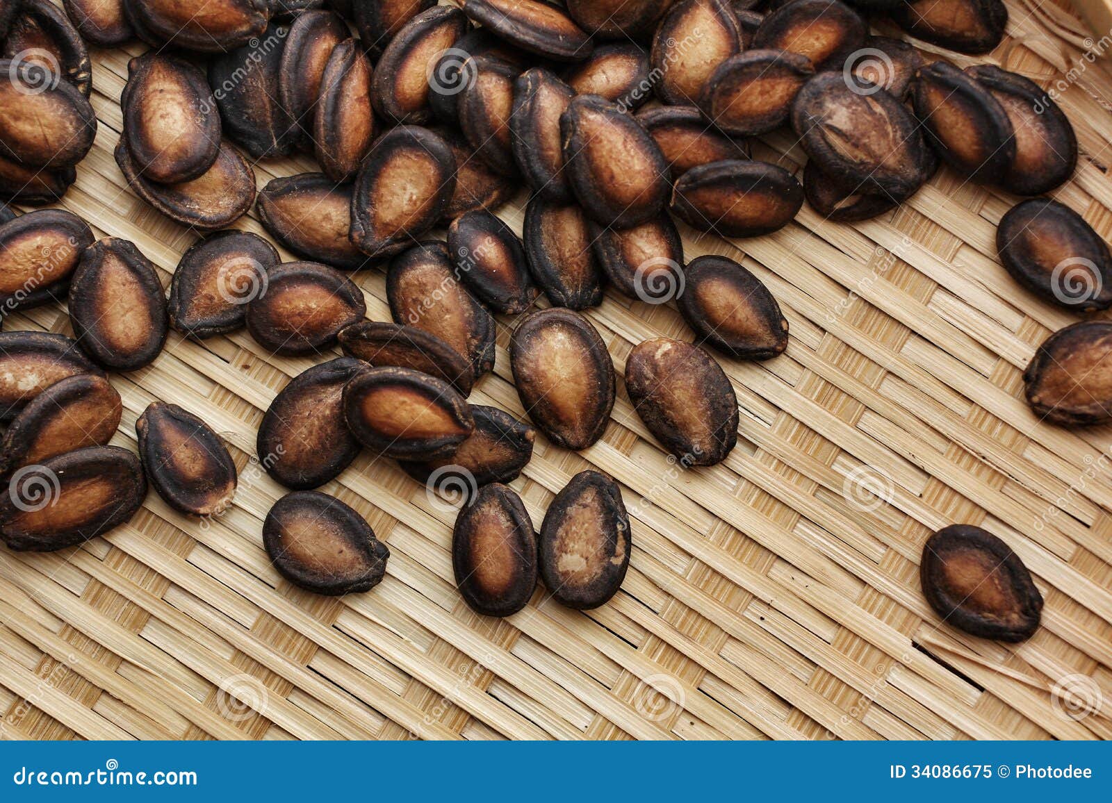 Watermelon Seed Sprouting Royalty-Free Stock Photography ...