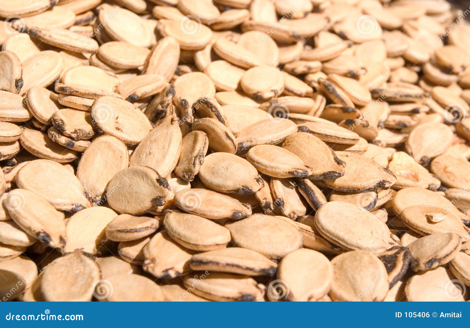 Watermelon seeds stock photo. Image of background, seamless - 105406