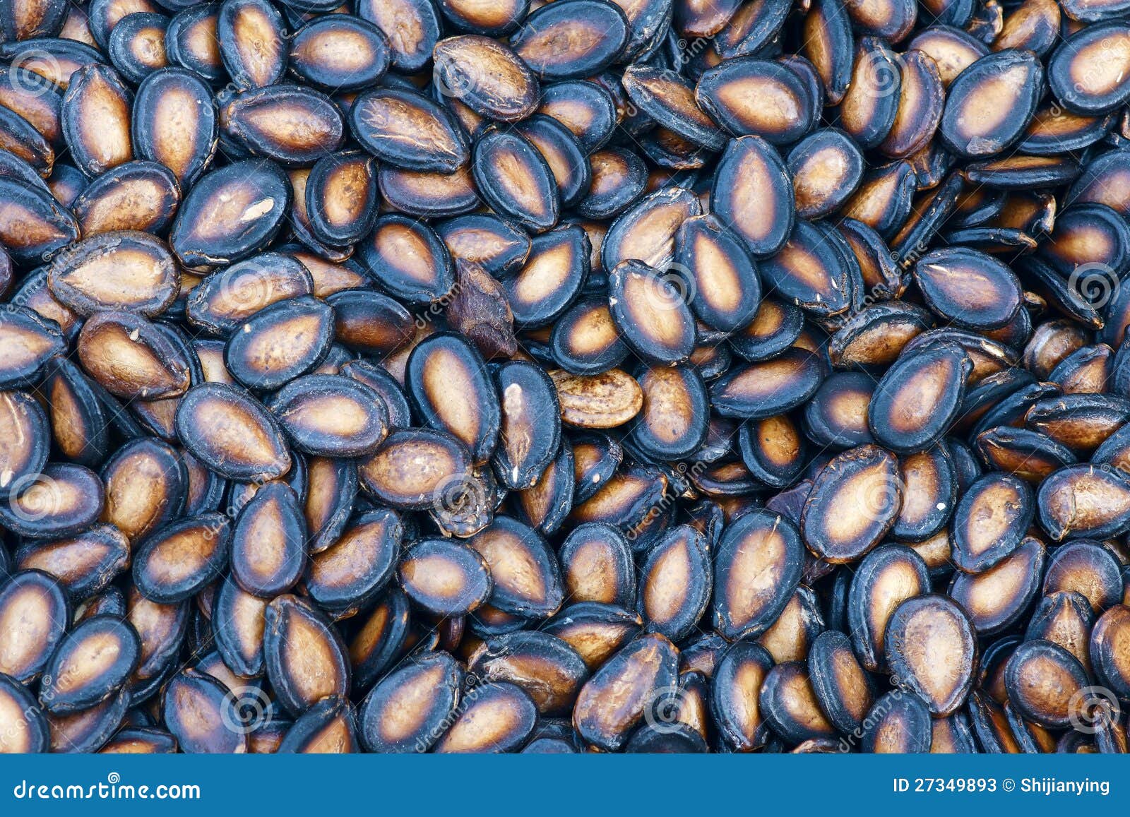 Watermelon Seeds Stock Photography | CartoonDealer.com #12767924