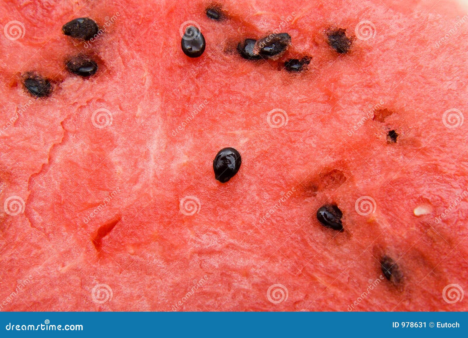 Watermelon with Seeds Background Stock Image - Image of round, abstract ...