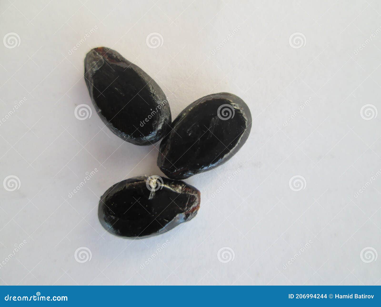Watermelon seeds, black stock photo. Image of black - 206994244