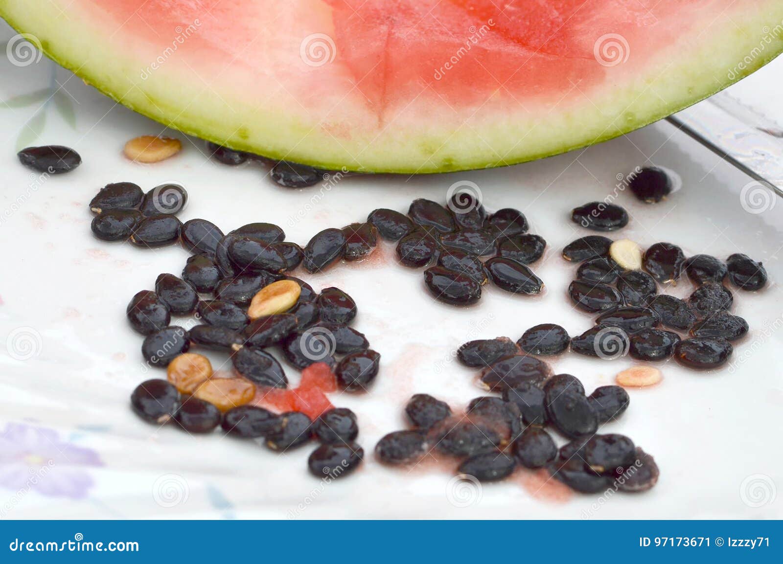 Watermelon seeds stock image. Image of closeup, diet - 97173671