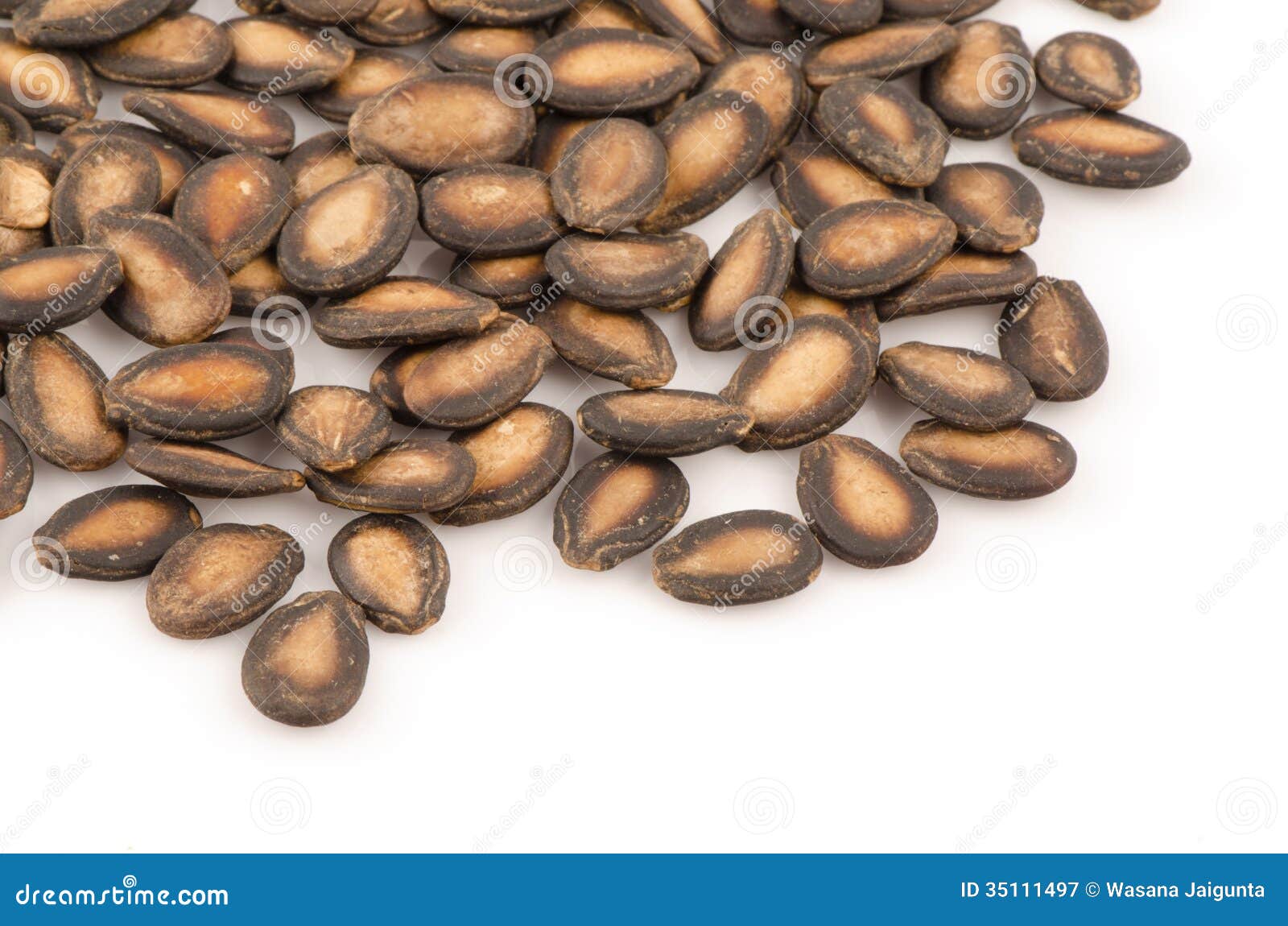 Watermelon seeds. stock image. Image of seed, hard, roasted - 35111497