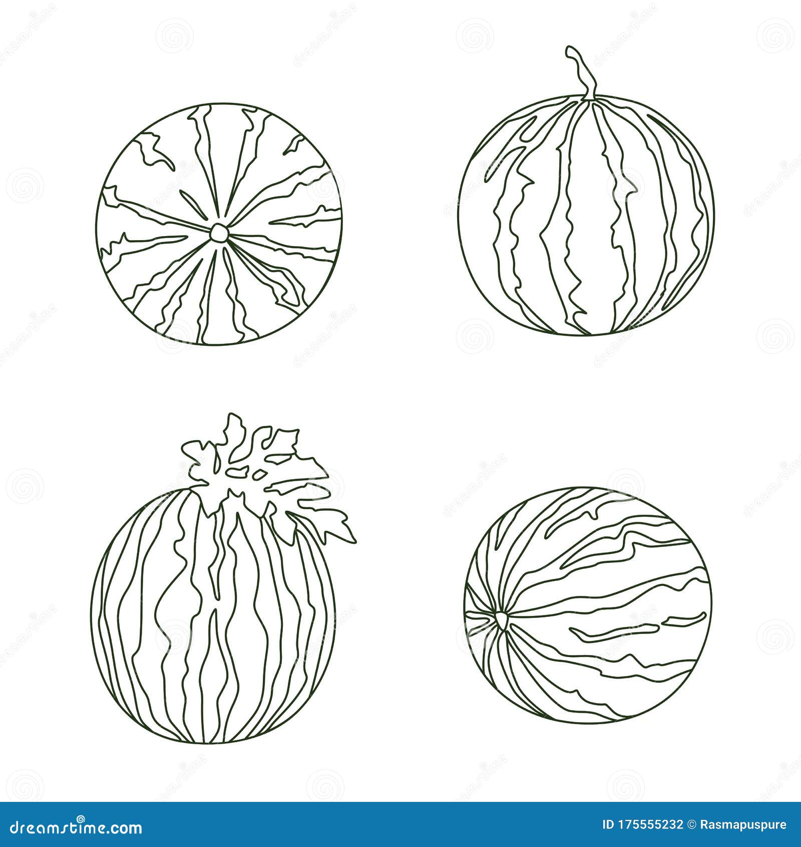 Watermelon Selection Vector Line Drawing on White Background Stock ...