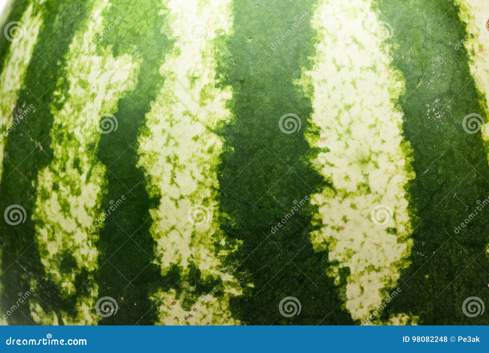Watermelon Skin Texture Background Stock Photography | CartoonDealer ...