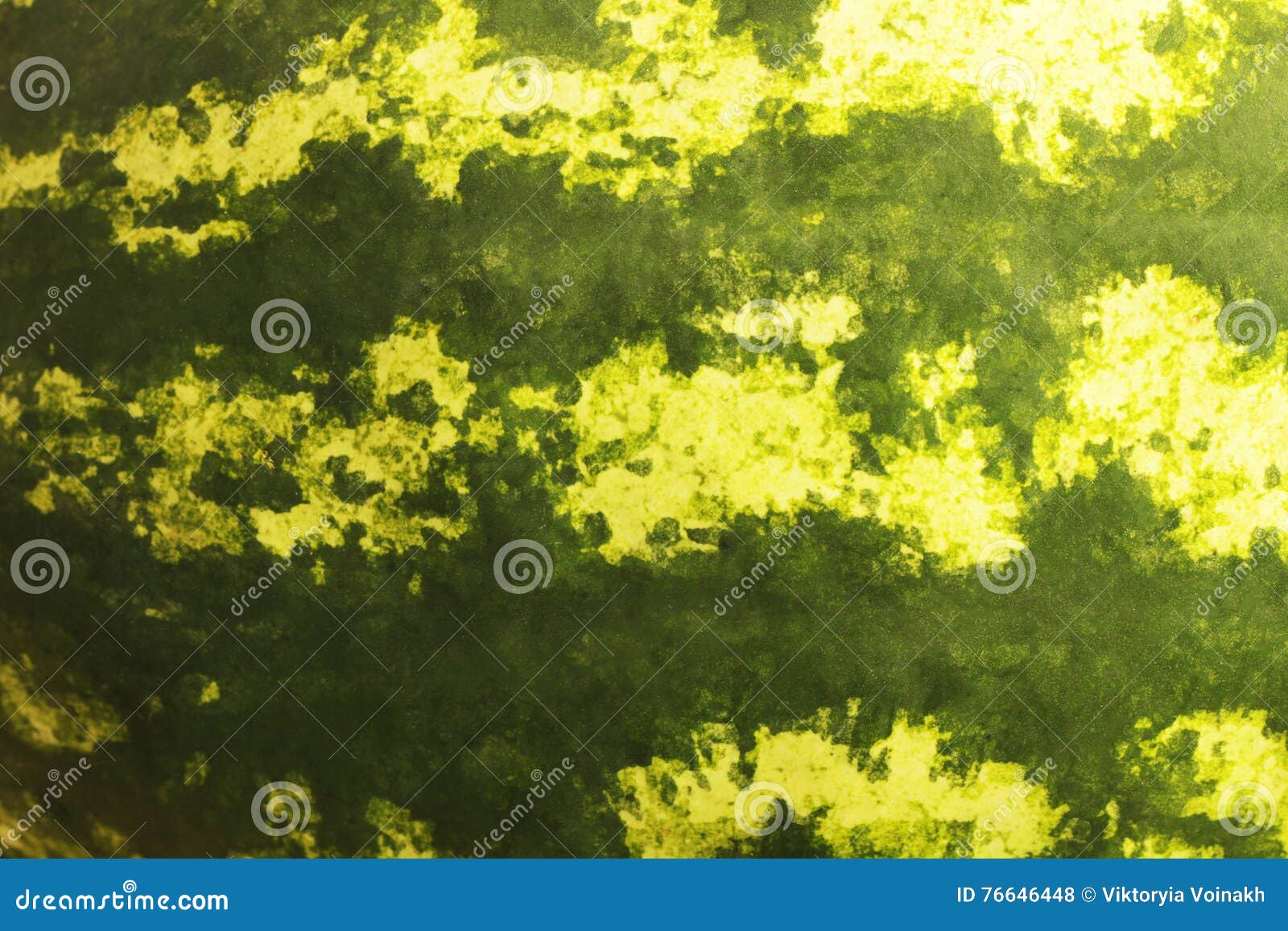 Watermelon Skin Texture Close Up Stock Photo - Image of eating, melon ...