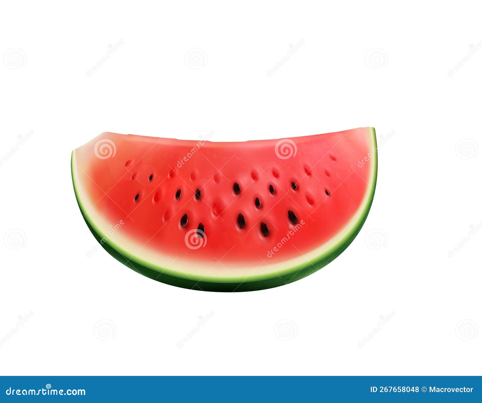 Watermelon Slice Realistic Composition Stock Vector - Illustration of ...