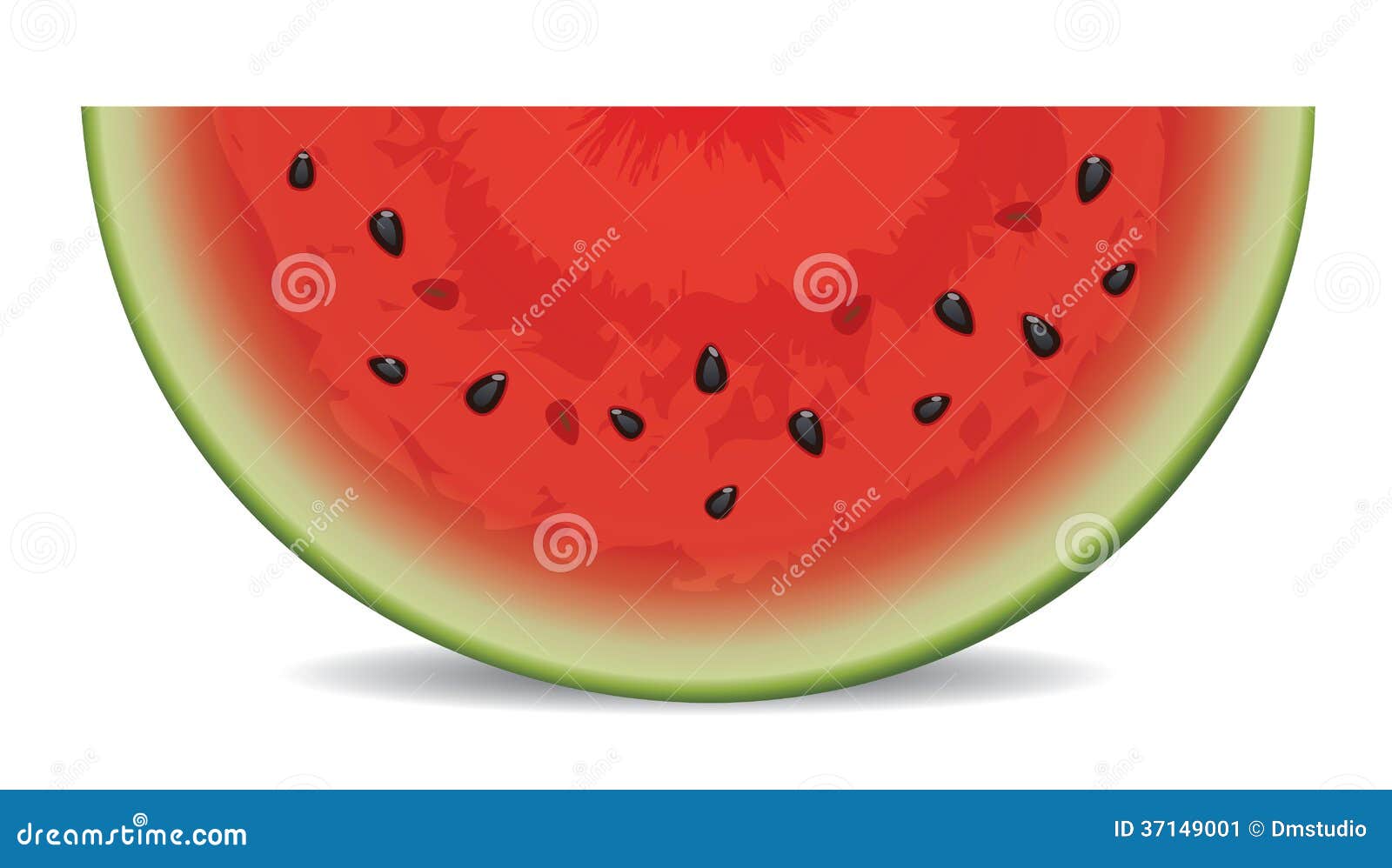 Watermelon Slice, With Bite Taken Off Vector Illustration ...