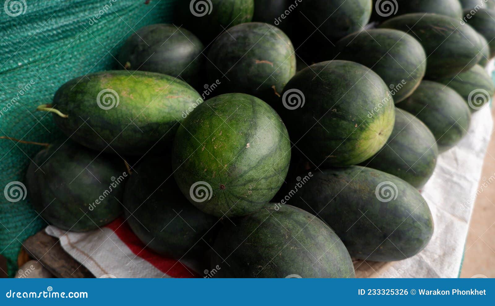 Watermelon stall stock photo. Image of nature, watermelon - 233325326