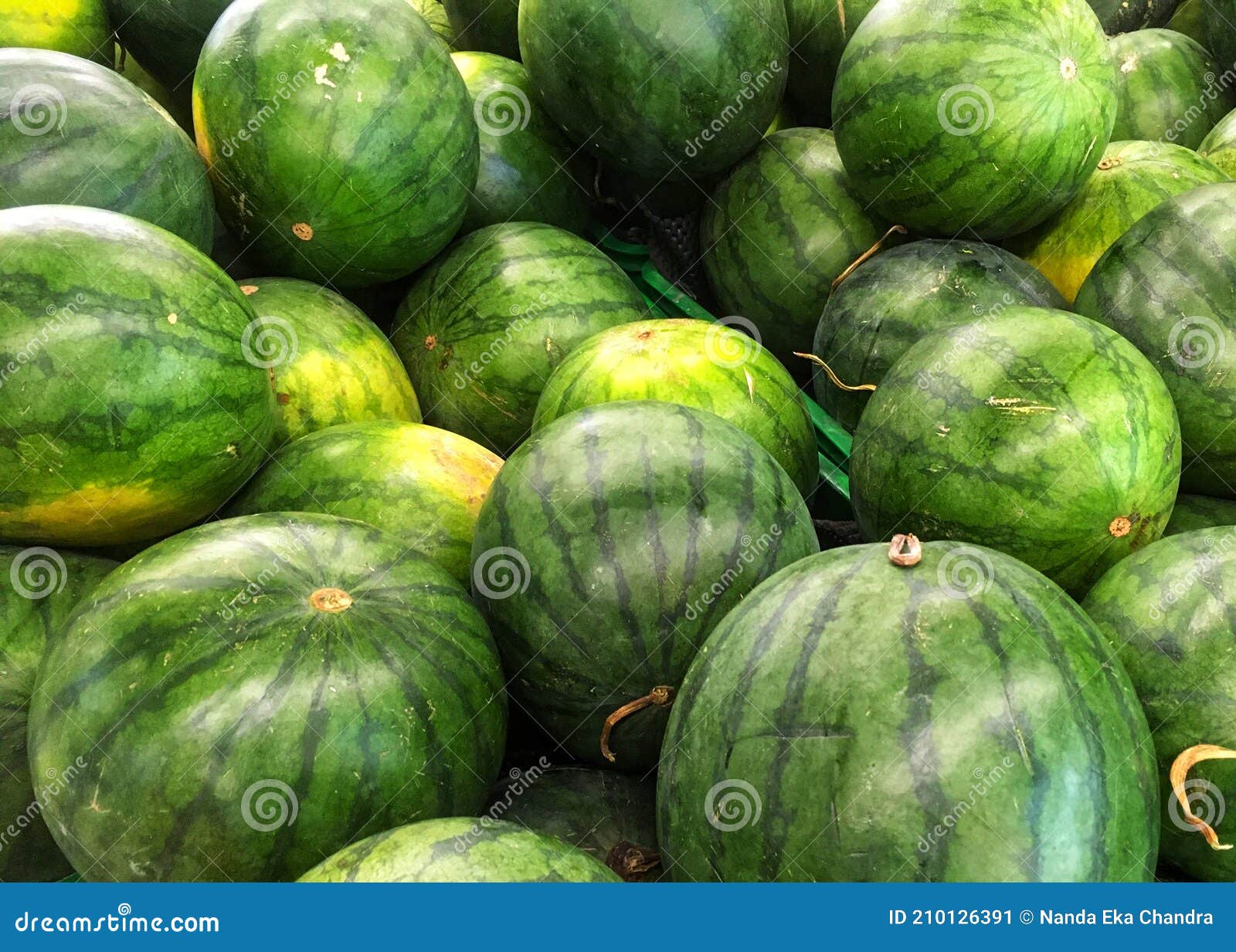 Watermelon stock image. Image of fresh, natural, fruits - 210126391