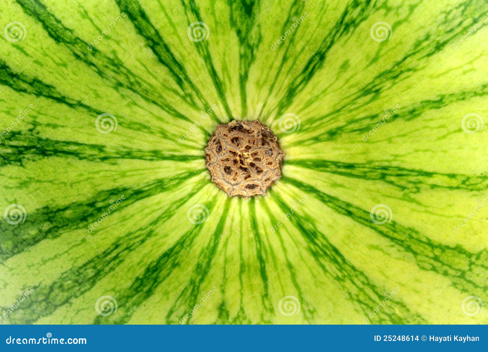 Watermelon Texture Stock Images - Image: 25248614