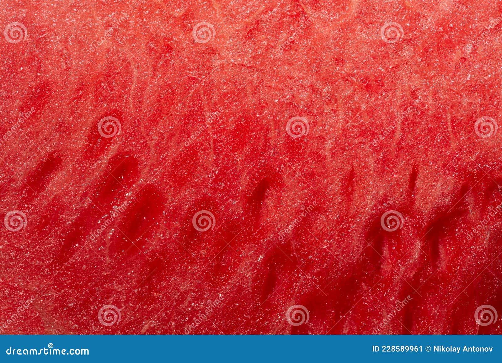 Watermelon Texture Abstract Background. Macro Watermelon Texture Stock ...