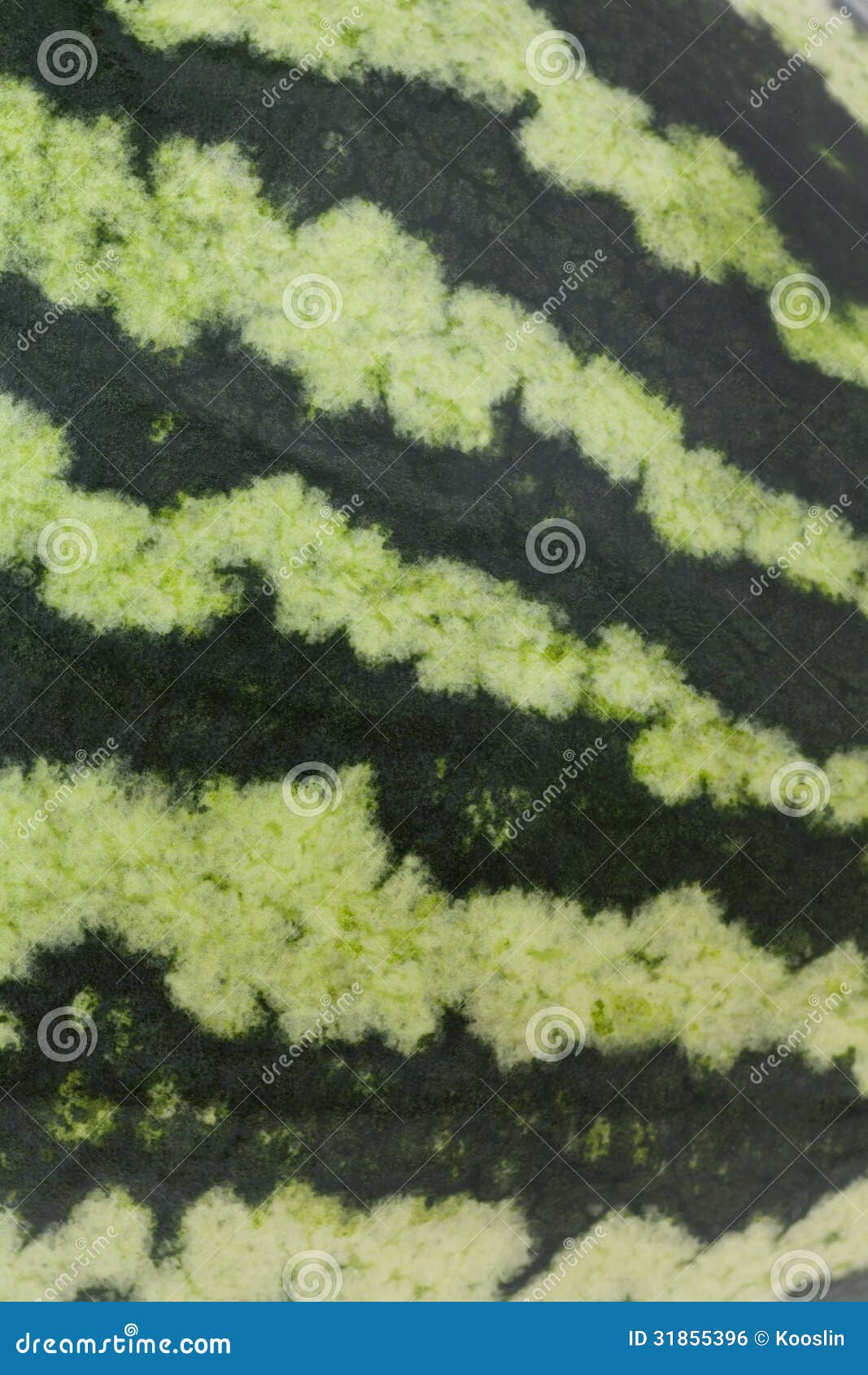 Watermelon Texture Background Stock Photo - Image of textured ...
