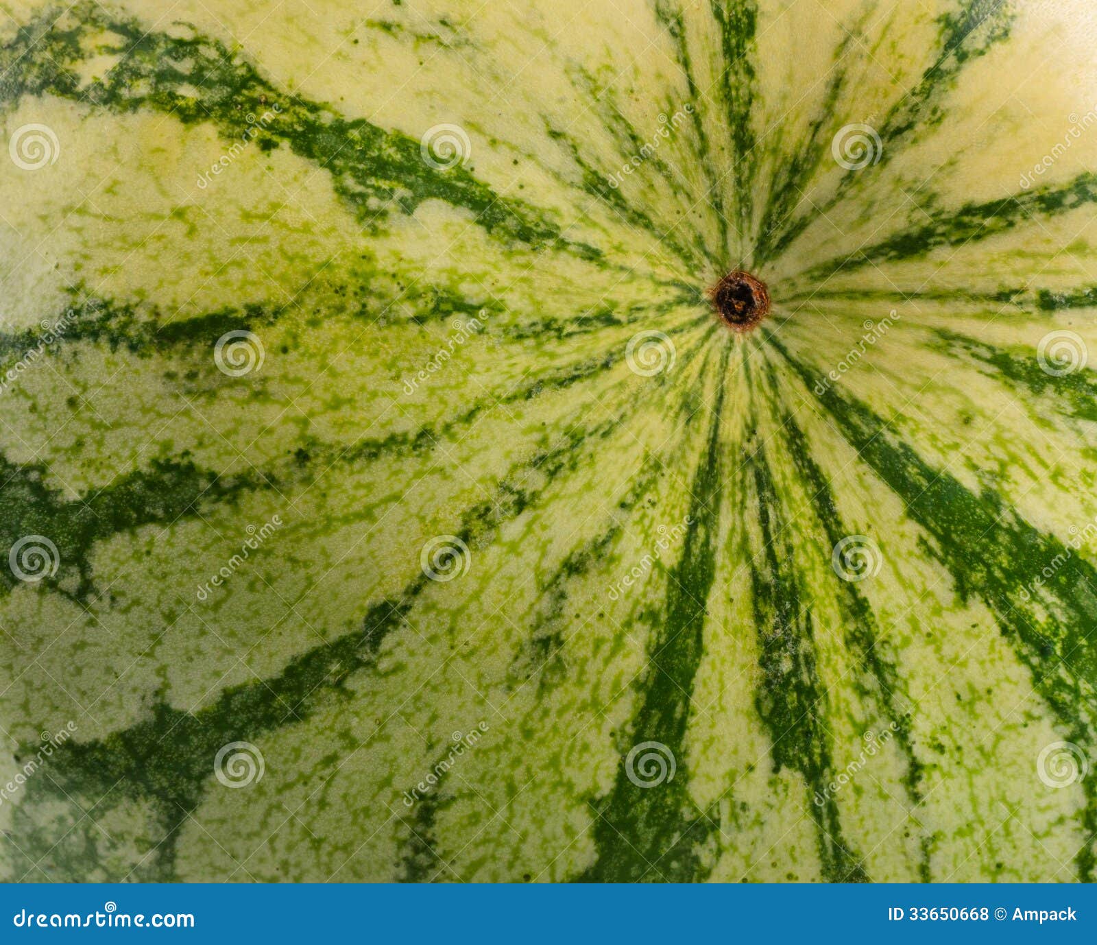Watermelon Texture Royalty-Free Stock Photography | CartoonDealer.com ...