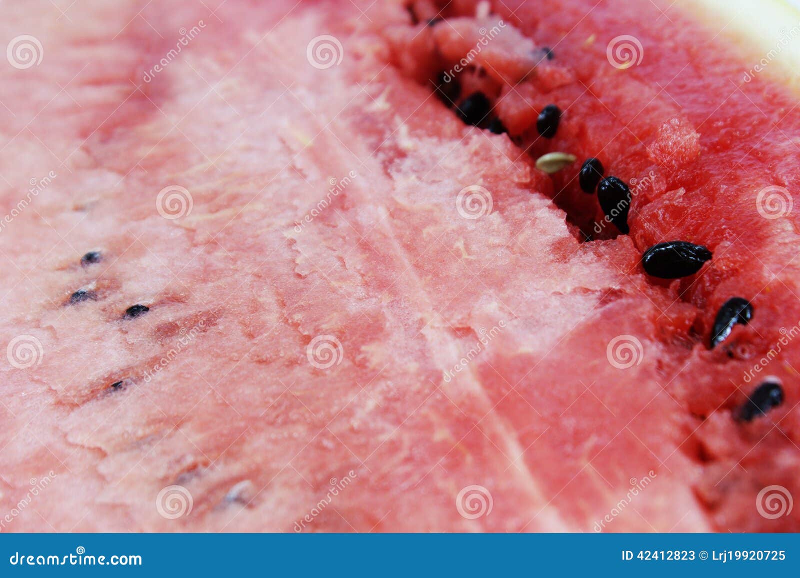 Watermelon texture stock image. Image of freshness, colors - 42412823