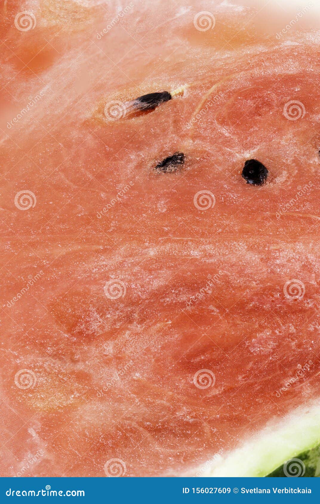Watermelon texture stock image. Image of background - 156027609