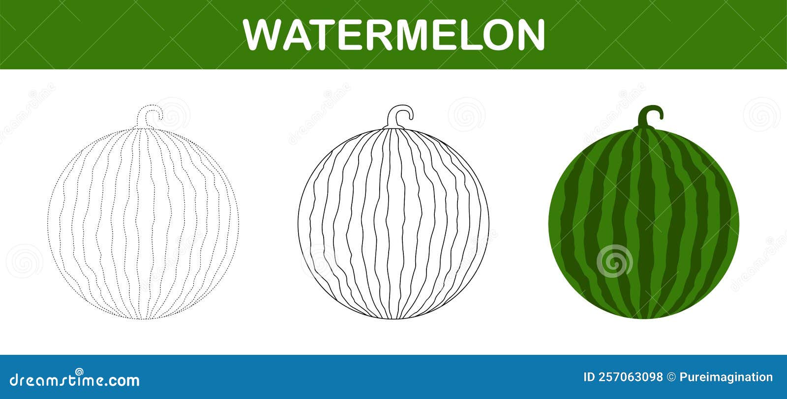 Watermelon Tracing and Coloring Worksheet for Kids Stock Vector ...