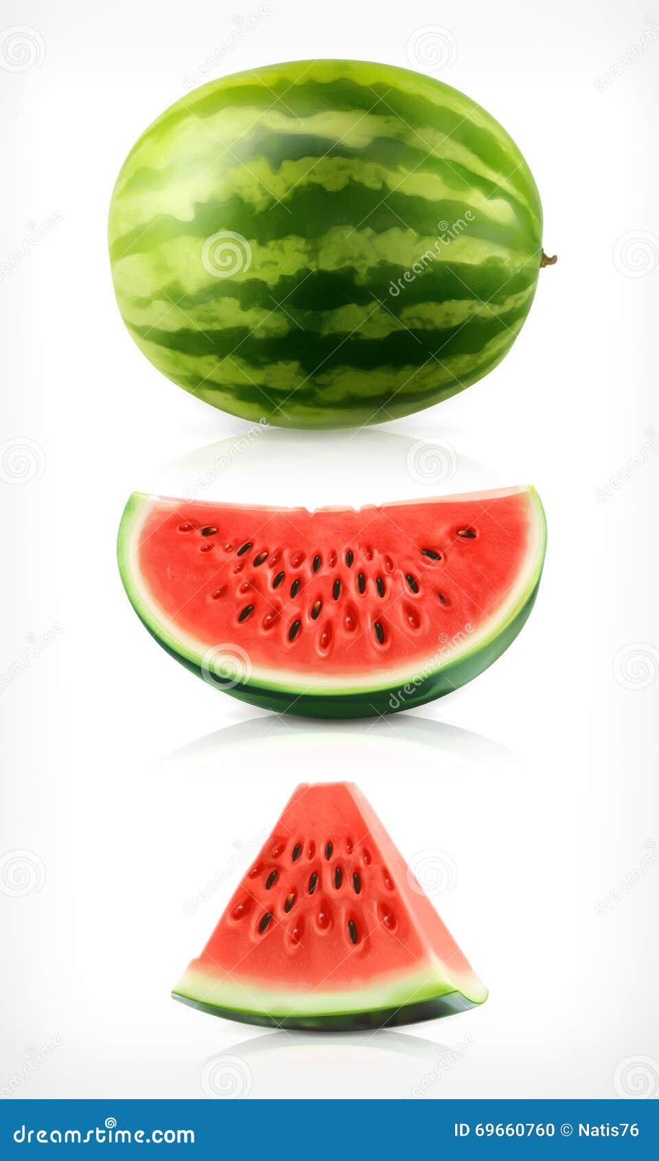 Watermelon Vector Seamles Watercolor Pattern | CartoonDealer.com #43511289