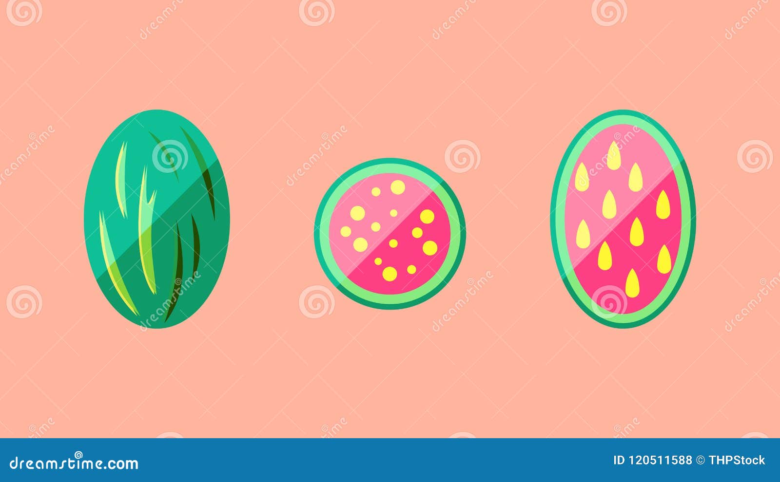 Watermelon Banner Vector stock vector. Illustration of isolated - 120511588