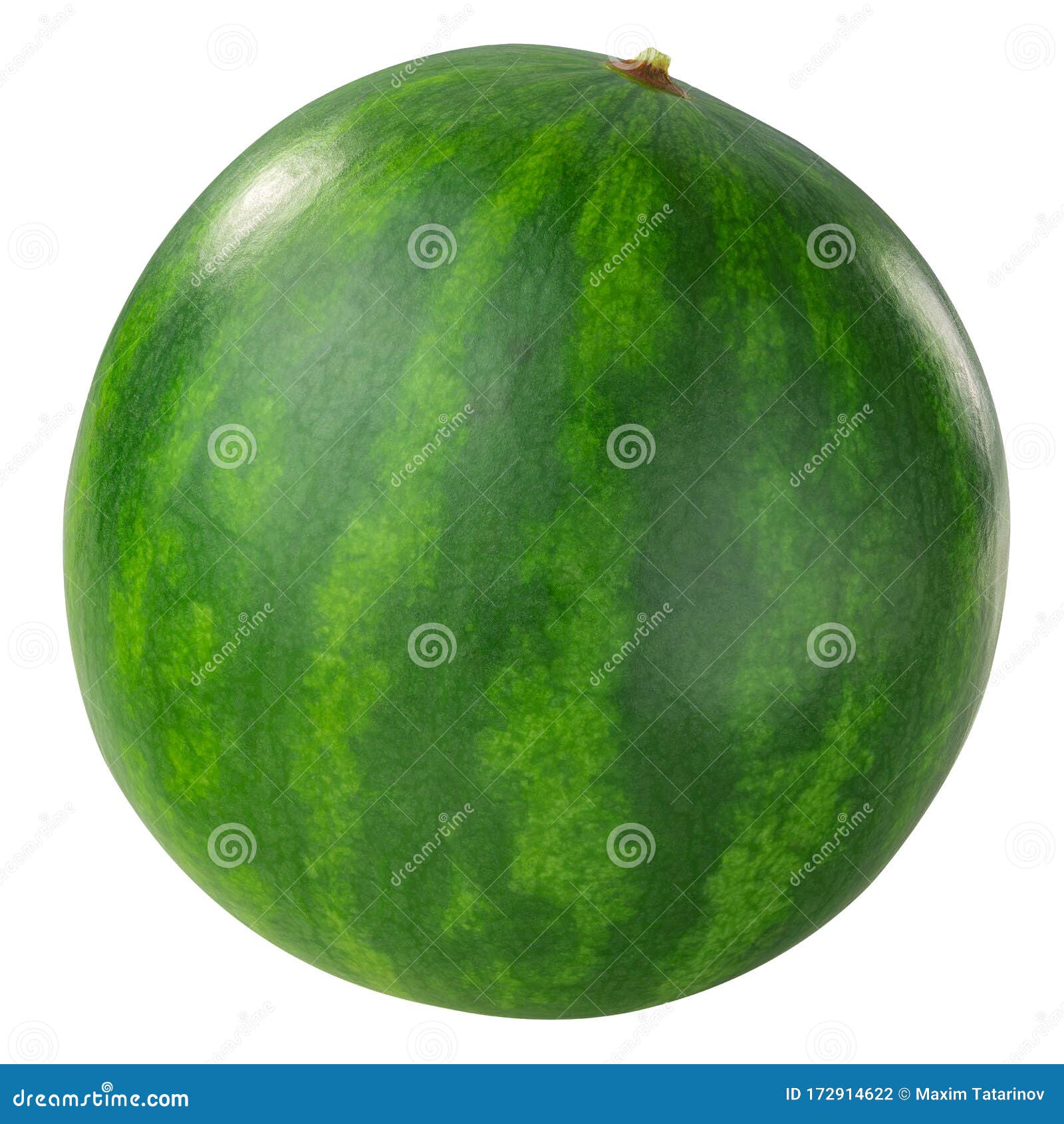 Watermelon Whole Pepo, Paths Stock Photo - Image of pepo, watermelon ...
