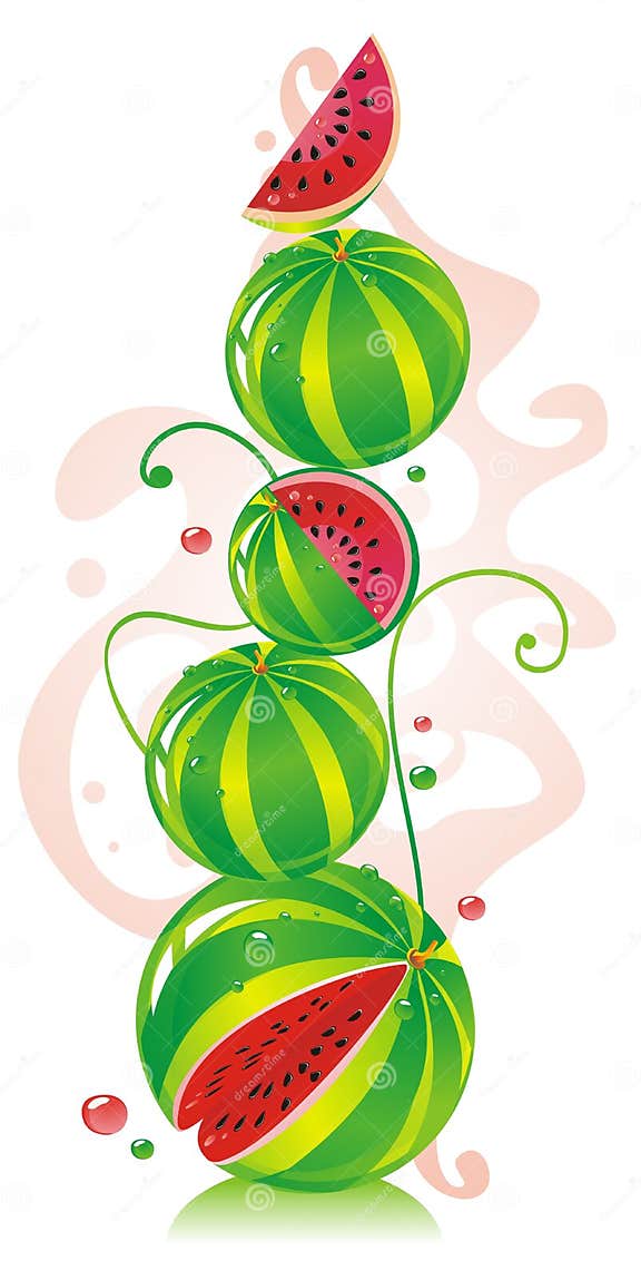 WatermelonHill stock vector. Illustration of food, pulp - 11992050