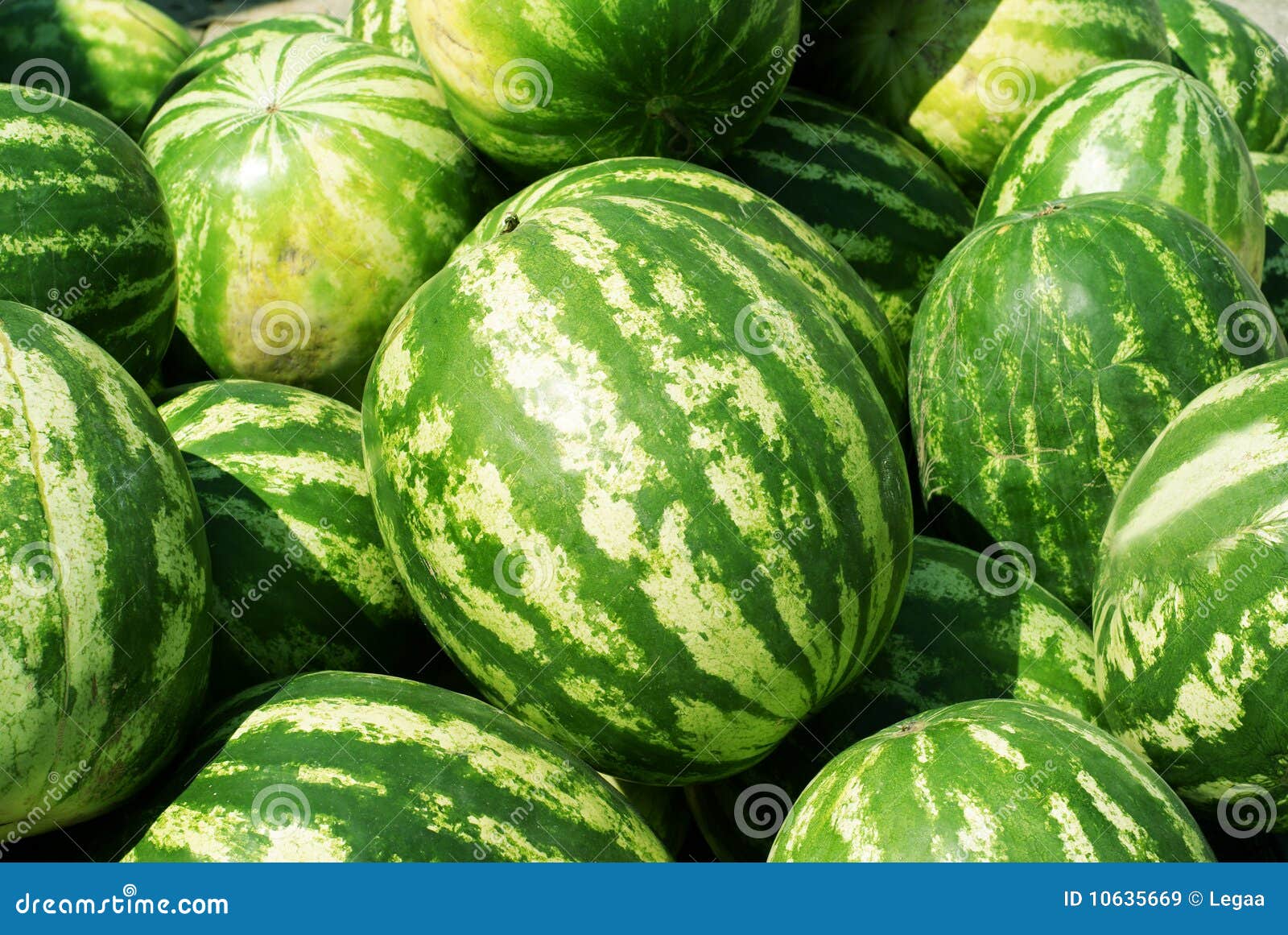Watermelons stock image. Image of nature, ripe, skin - 10635669