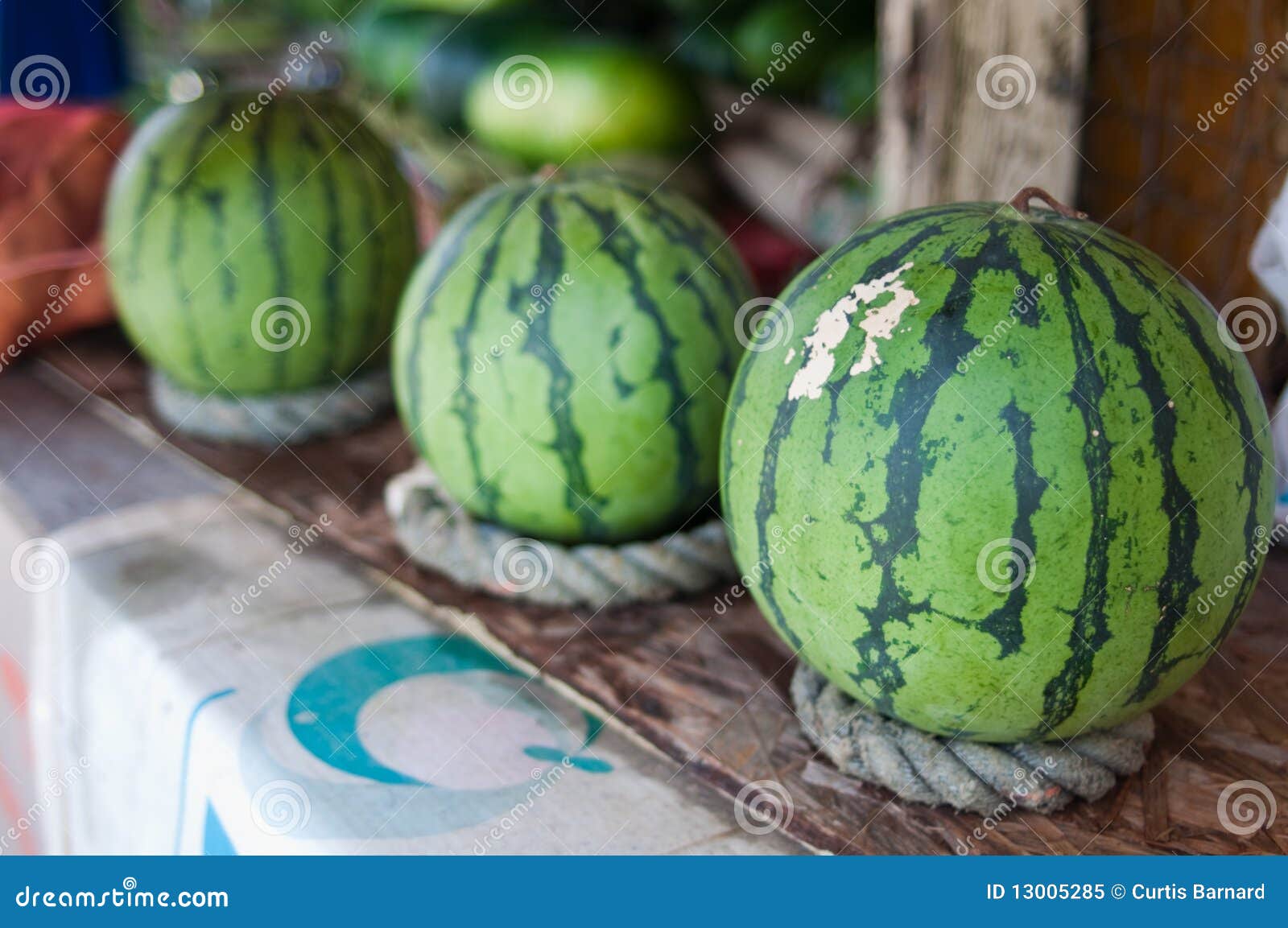 Watermelons stock image. Image of side, watermelon, three - 13005285