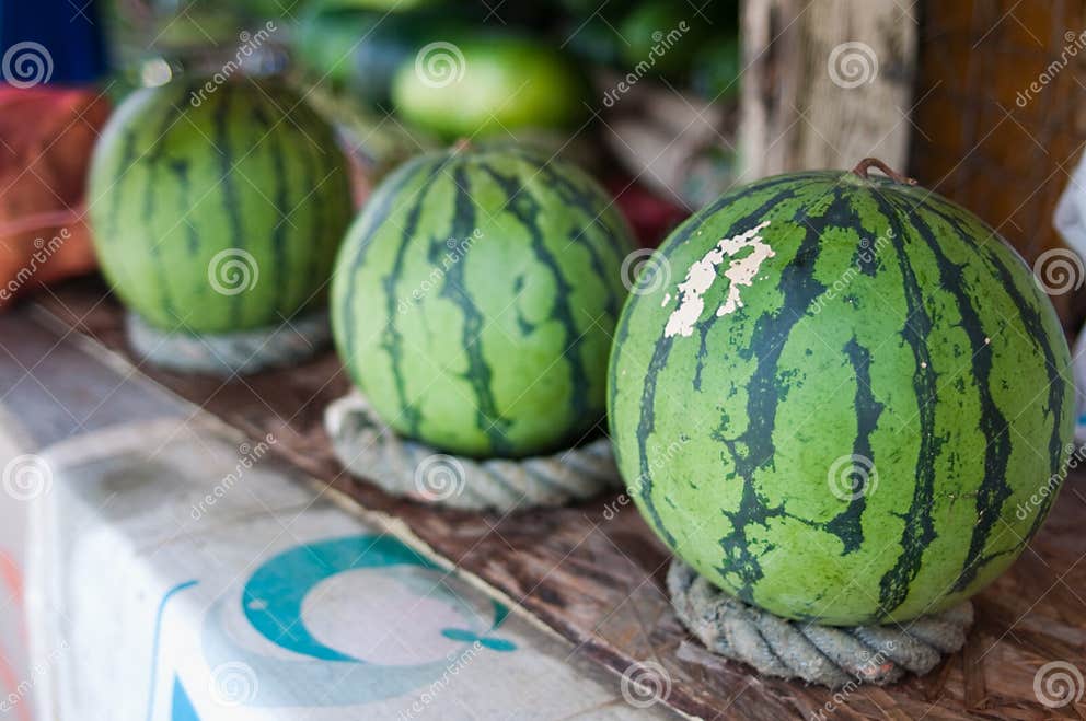 Watermelons stock image. Image of side, watermelon, three - 13005285