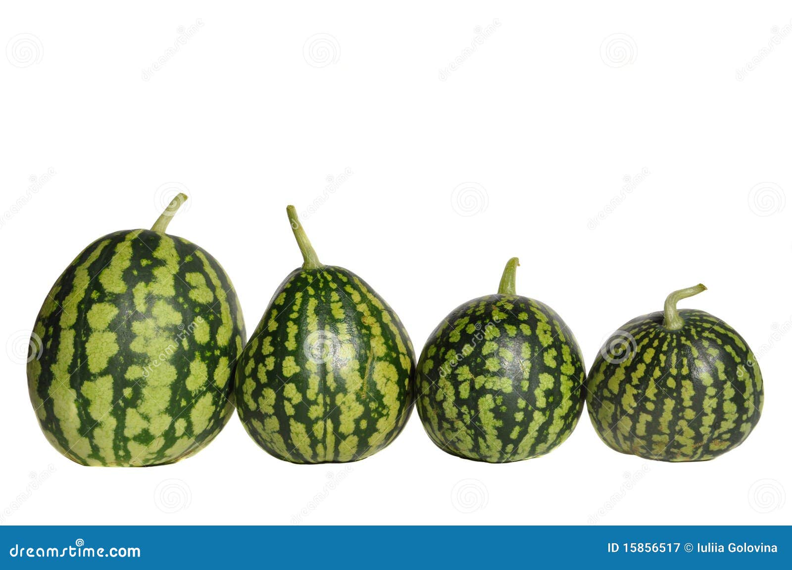 Watermelons stock image. Image of summertime, nutrition - 15856517