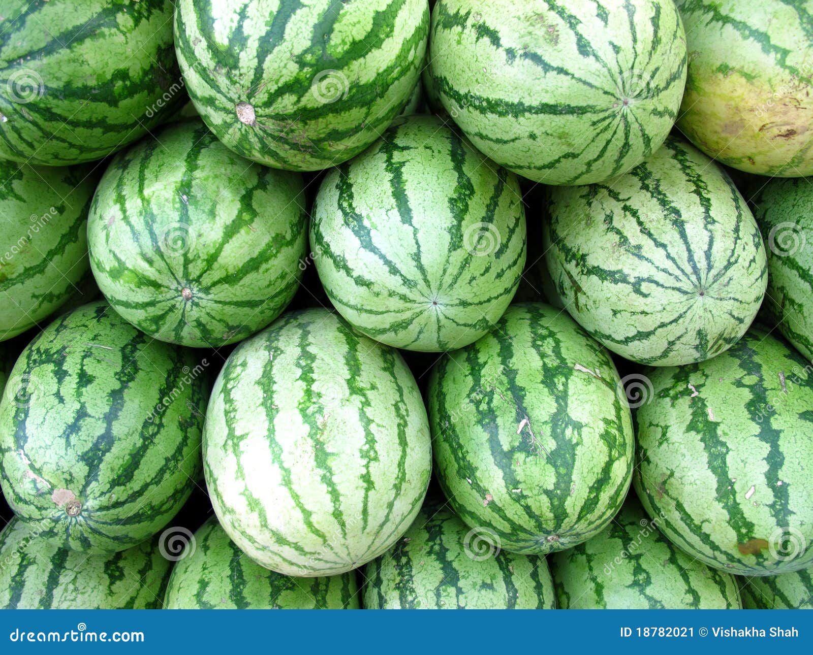 Watermelons Royalty-Free Stock Photography | CartoonDealer.com #18782021