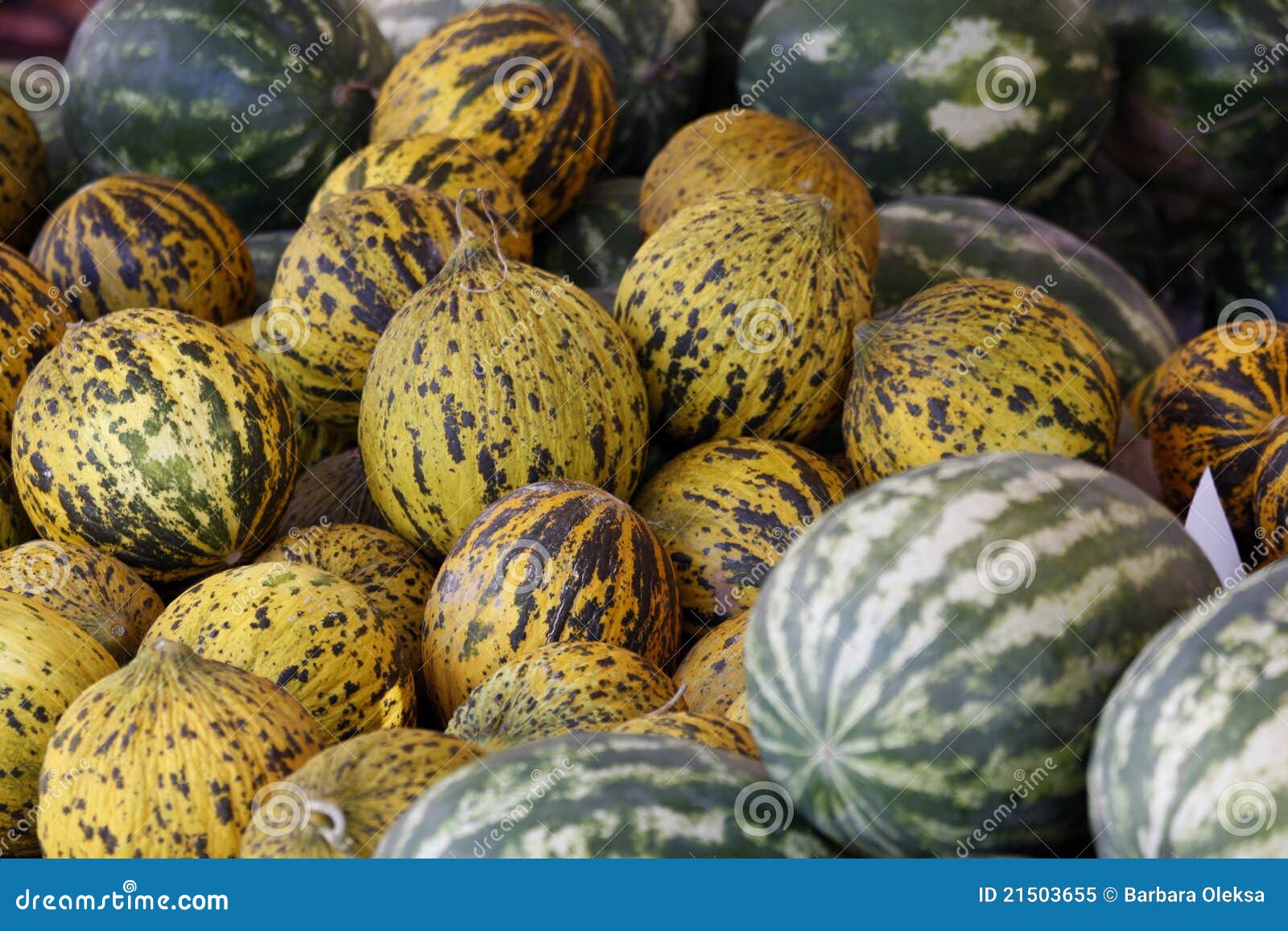 Watermelons stock image. Image of watermelon, trade, yellow - 21503655