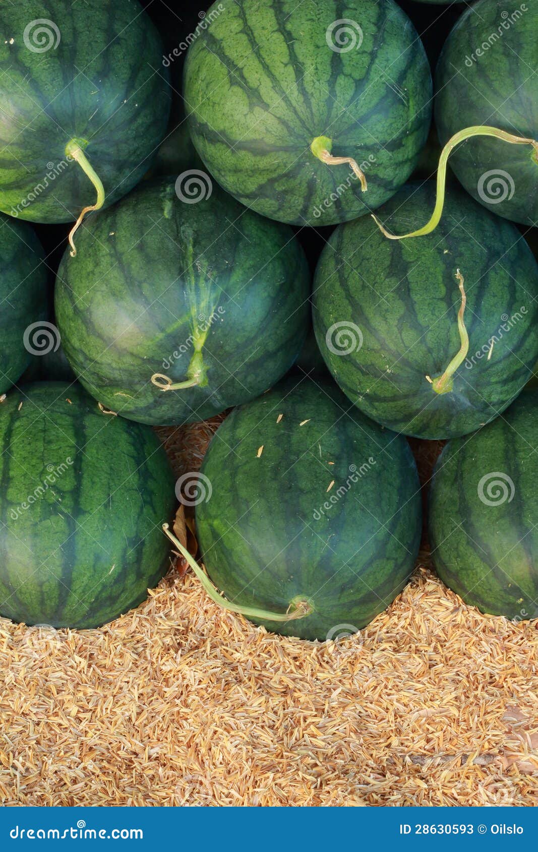 Watermelons stock image. Image of diet, dessert, full - 28630593