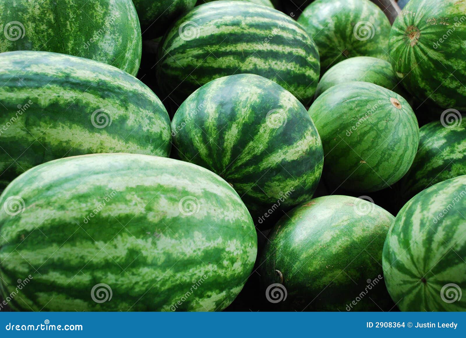 Watermelons stock photo. Image of time, fresh, north, ripe - 2908364