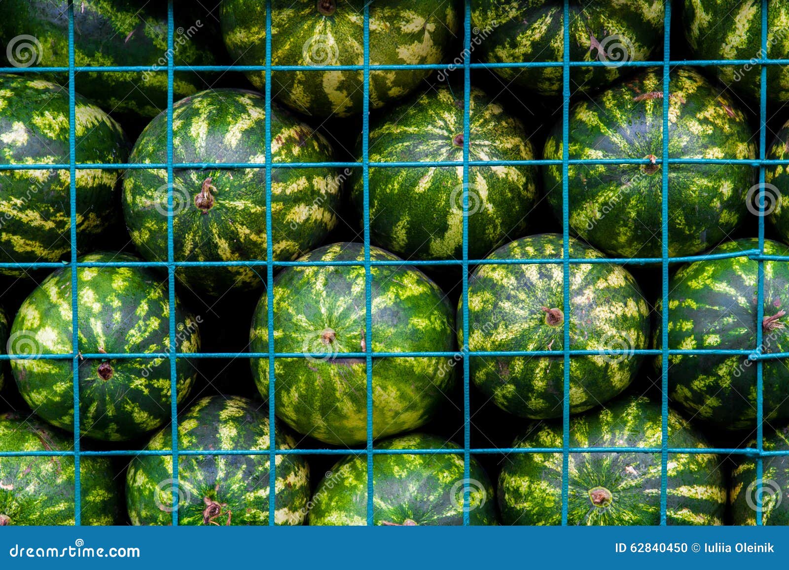 Watermelons stock photo. Image of juicy, luscious, freshness - 62840450
