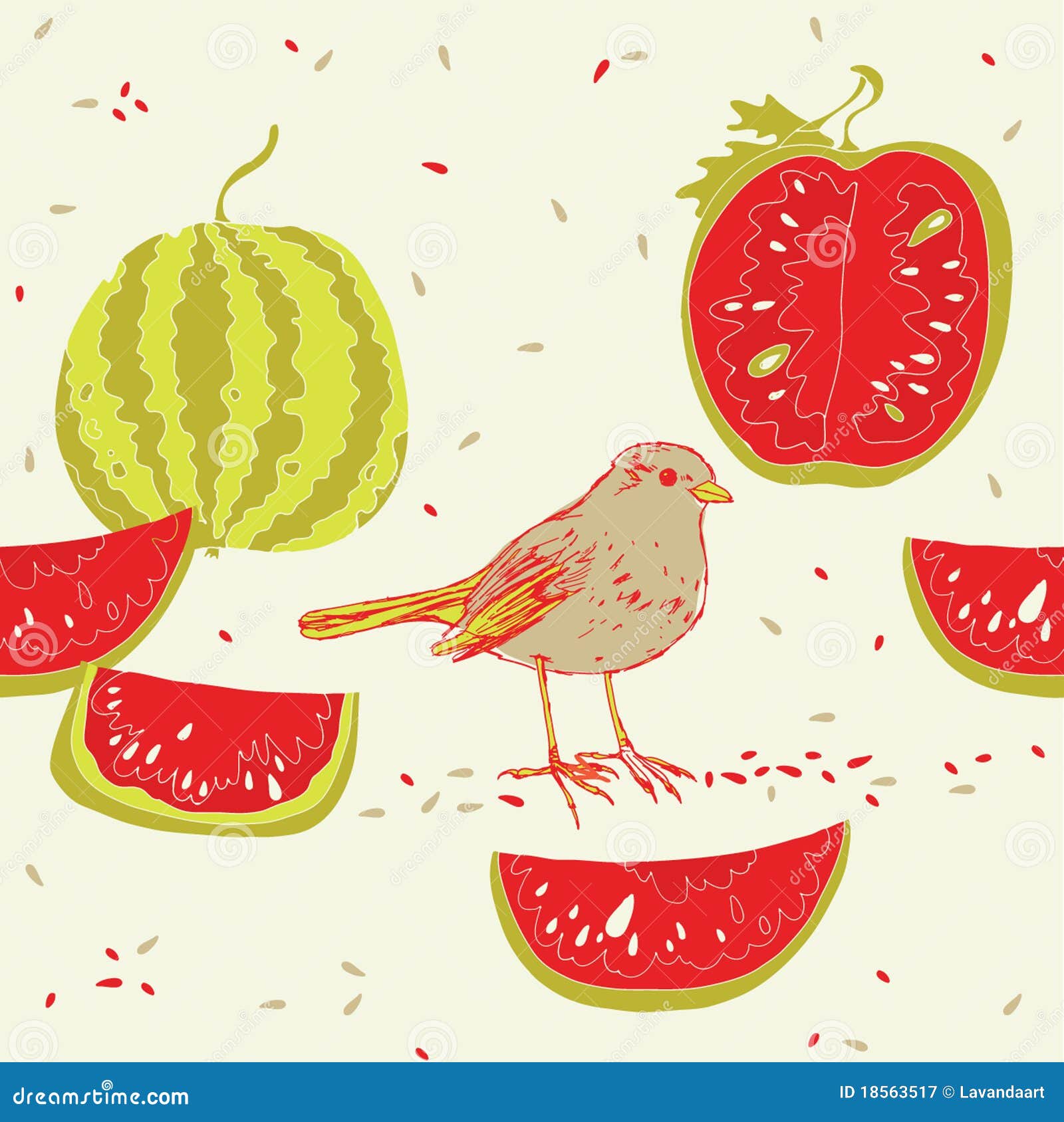 Watermelons and bird stock vector. Illustration of green - 18563517