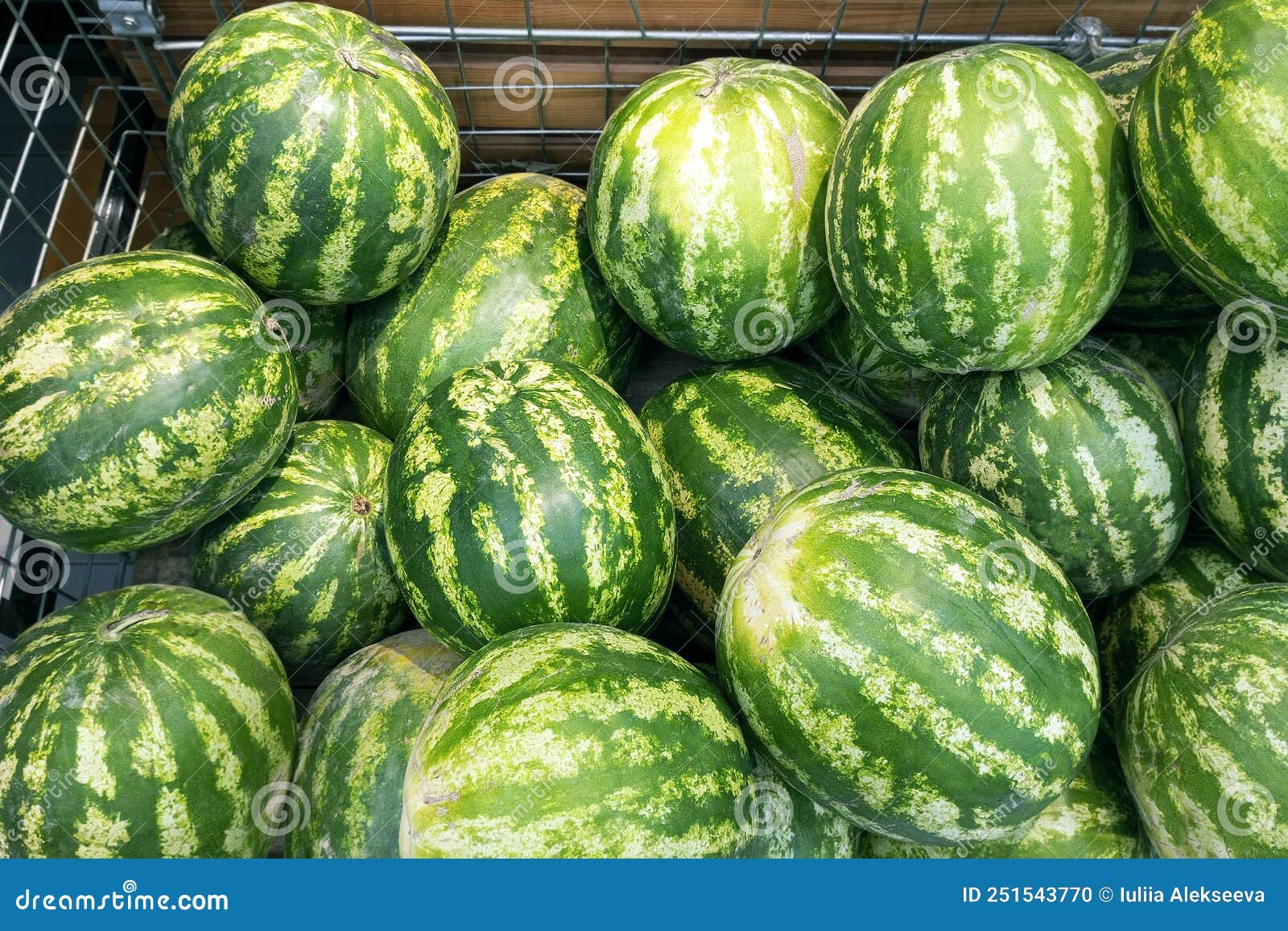 Watermelons in Bunch on the Counter of the Store Stock Photo - Image of ...