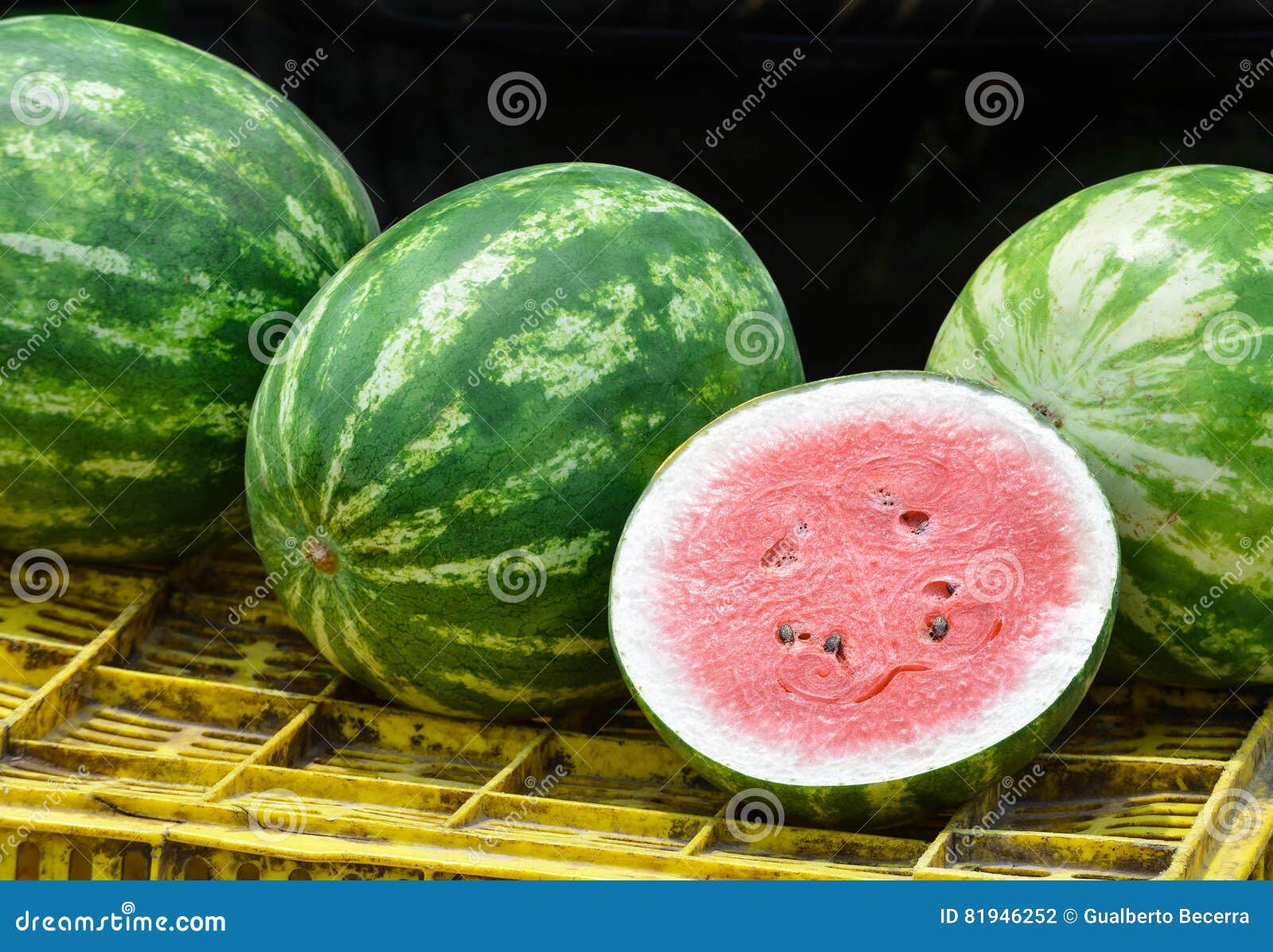 Watermelons stock photo. Image of green, market, farmer - 81946252